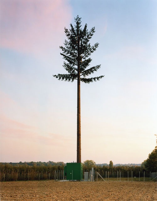 Camouflaged Cell Phone Towers | Amusing Planet